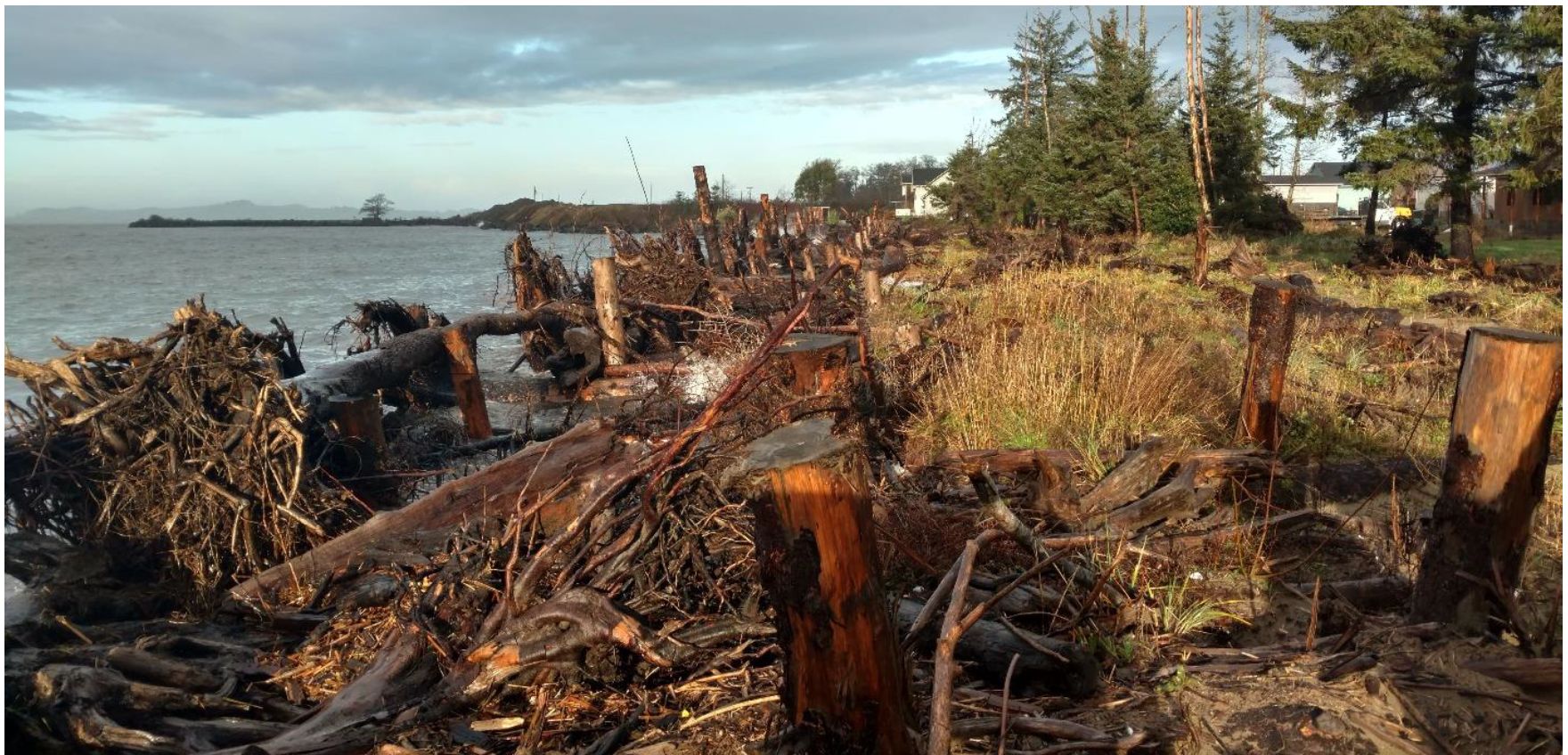 Chinook pre post | Washington Coastal Hazards Resilience Network